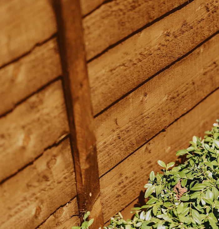 Wood Protector